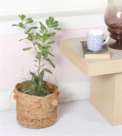 Round Planter Basket Type Decoration Basket At Best Price In Panipat