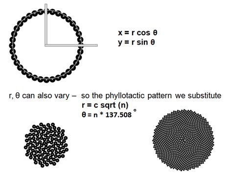 where do these equations come from well from a paper by h vogel 1979 in mathematical biosciences