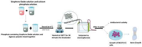 Scaffold Using Chitosan Agarose Cellulose Dextran And Protein For