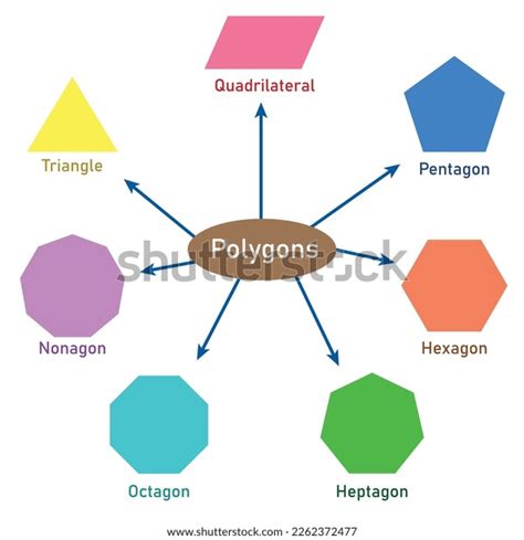 Types Regular Polygons Triangle Quadrilateral Pentagon Stock Vector Royalty Free