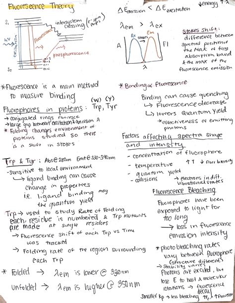 BCHM Notes 10 Exam Study Guide Summary Material BCHM 420 StuDocu
