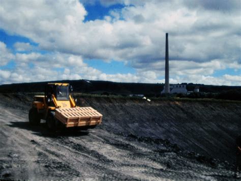 How Did Doris Get To The Museum Pliosaurus