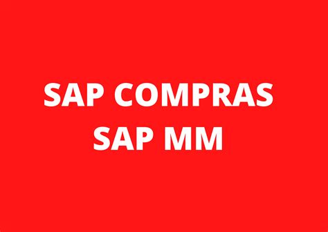 ejeuccion f110 sap programa de pagos sap