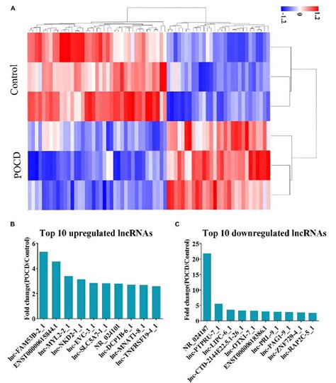 Figure 2 From Microarray Expression Proﬁles Of Lncrnas And Mrnas In Postoperative Cognitive