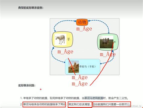 C继承与析构顺序、对象模型和多态特性解析 Csdn博客