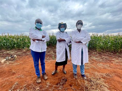 Five Ways Cgiar Accelerated Crop Breeding In 2022 Cgiar