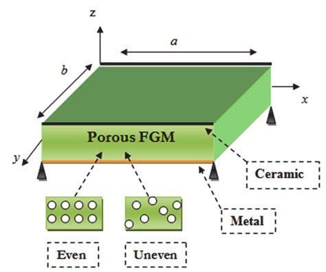 Geometry And Coordinates Of Porous Functionally Graded Plate