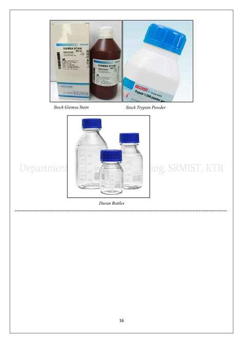 Introduction To Human Chromosome Analysis Conventional Karyotyping Method Gtg Of Peripheral