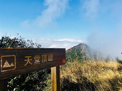 天堂顶 快懂百科