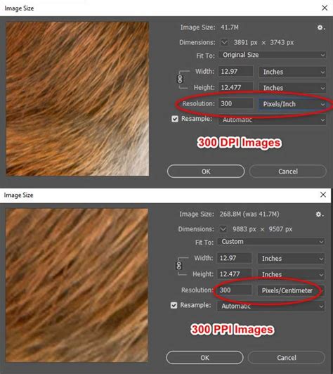 How To Convert Images To 300 Dpi Clipping Photo Experts