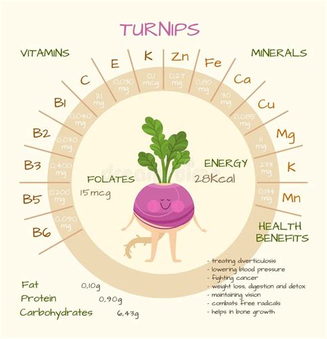 Vitaminer och mineraler vektor illustrationer. Illustration av gyckel ...