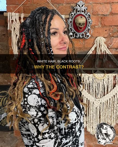 White Hair Black Roots Why The Contrast Shunsalon