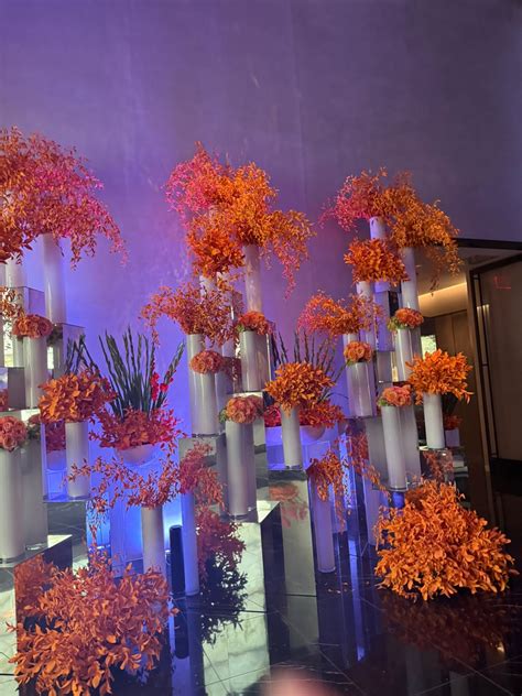 Danielle Hagerty Mortimer