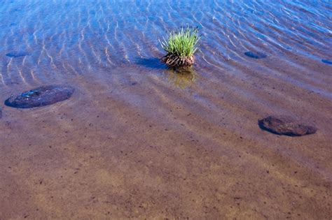 premium photo background with a certain texture pattern