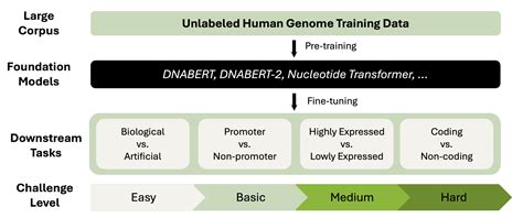 Zhichao Hou Homepage