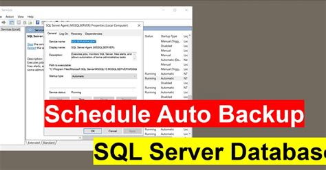 membuat backup database sql otomatis terjadwal di sql server mangement