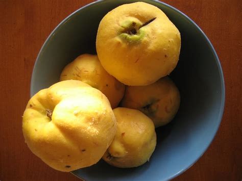 Where Can I Buy Quince Juice At Jesse Banks Blog