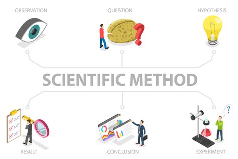 3319 Scientific Method Labeled Educational Scheme 7981159 Illustrations Free In Svg Png 