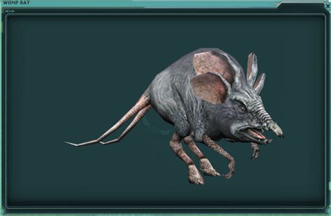 Womp Rat Species Swganh Wiki