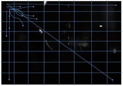 Detected Uniform Blocks To Be Indexed For Removal Download Scientific Diagram