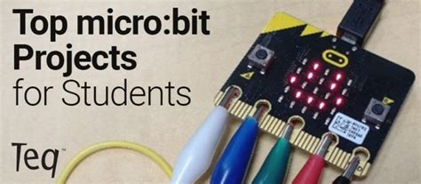 Top Micro Bit Projects For Babes Teq