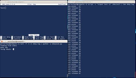 using xkeyscan to parse an x based linux keylogger