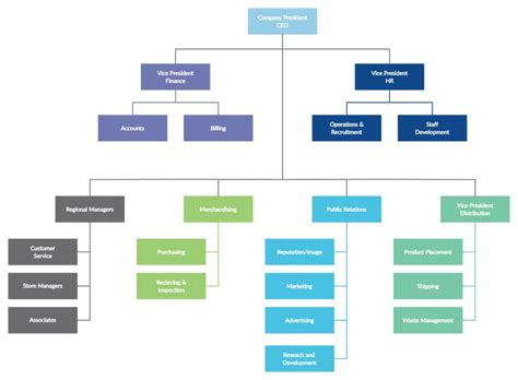 Supermarket Chain Organizational Chart Finance Development