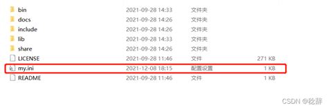 在同一台主机上运行mysql和mariadbmariadb和mysql能一起装吗 Csdn博客