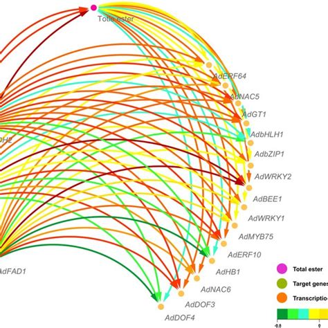 Correlation Network Analysis For Structural Genes Transcription Download Scientific Diagram