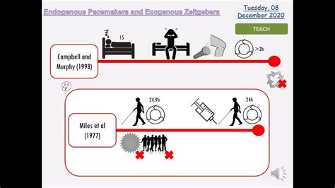 Endogenous Pacemaker