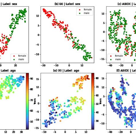 3 T Sne Plot Of Sfcn Features After Domain Shift From Ukb To Various Download Scientific