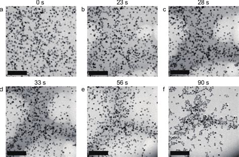 Liquid Cell Transmission Electron Microscopy For Tracking Self Assembly Of Nanoparticles