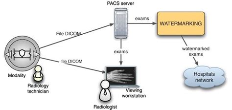 Digital Image Watermarking Using Edge Position