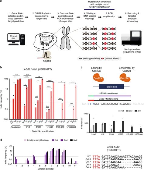 Schematics Of The Detection Of Off Target Mutations Using The Crispr Download Scientific