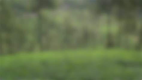 How To Use Linkedin For B2b Lead Generation Pallavi Singh Posted On The Topic Linkedin