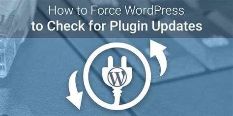 how to force wordpress to check for plugin updates