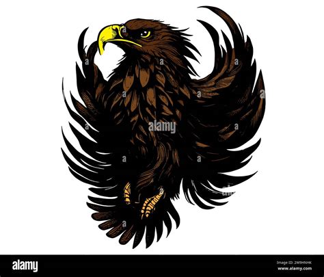 Eagle In Flight Illustration Stock Vector Image And Art Alamy