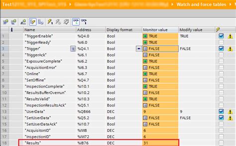 Checking The Application In TIA Portal