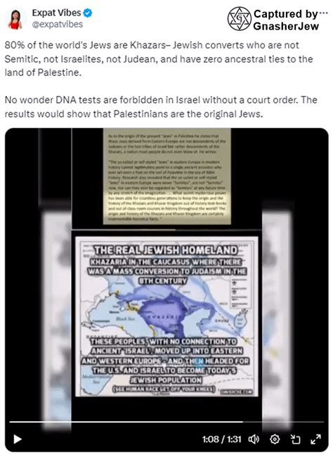 Sarah Sweis Shoucair Gnasherjew