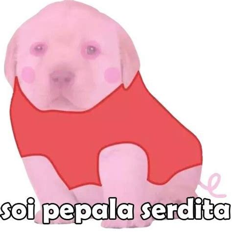 22 Ideas De Perrito Perrito Memes Perros Imágenes Divertidas
