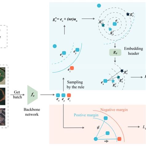 A Training Framework Using The Intra Class Ranking Loss Function Based