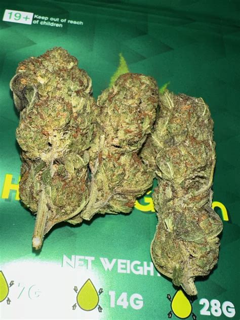 Pink Lemonade Hydro Green Shop