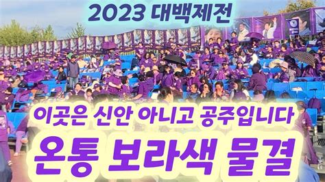 감탄사를 나오게 하는 아리스의 보라색 물결 이곳은 신안 아니고 공주입니다 2023 대백제전 폐막 세레머니 김호중 홍지윤 정다경 강예슬 영기 금잔디 문희경