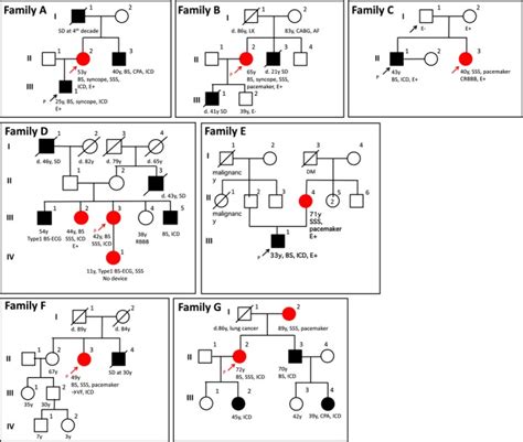 Sex‐dependent Phenotypic Variability Of An Scn5a Mutation Brugada