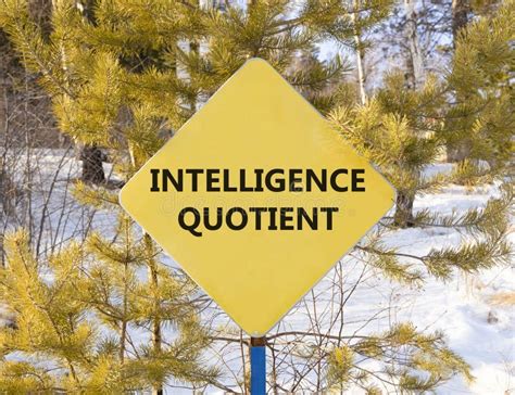 Iq Intelligence Quotient Symbol Concept Words Iq Intelligence Quotient