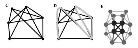 A A Complete Subgraph With Four Vertices Endowed In The Human Download Scientific Diagram
