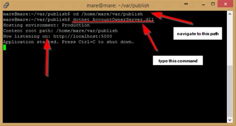 Asp Net Core Web Api Net Core Linux Deployment Code Maze