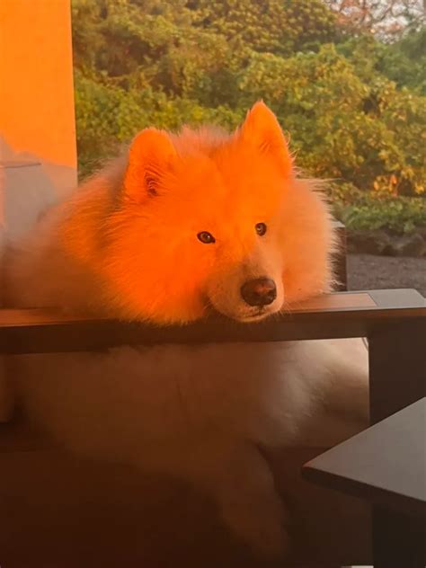 Fuzzy Matching In Python As A Data Scientist One Of The Most By Matt Mascarelli Medium