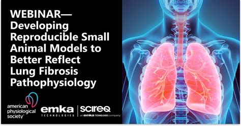 Lung Fibrosis Pathophysiology