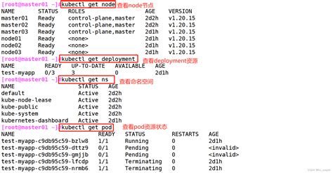 【kubernetes】关于k8s集群中kubectl的陈述式资源管理 kubectl exec it pod n csdn博客